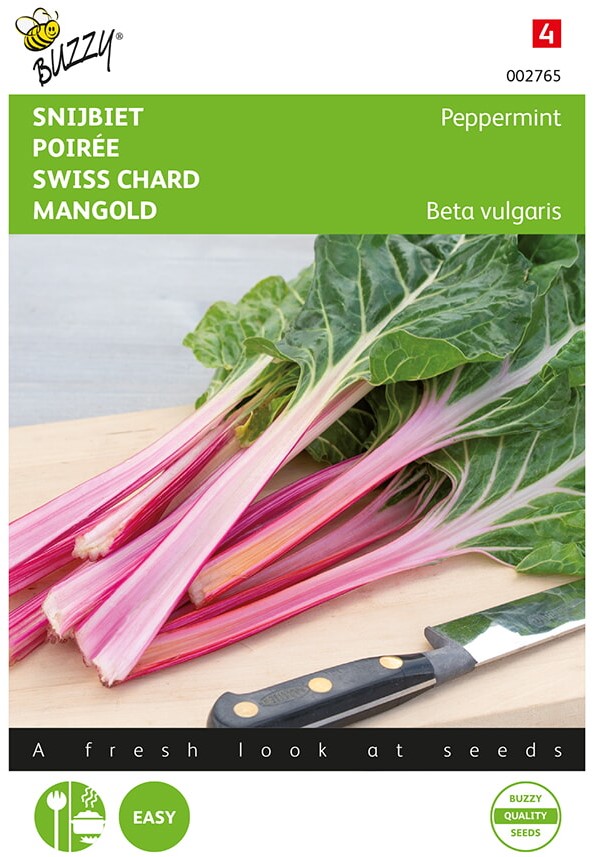 Swiss Chard Peppermint - Buzzy Les graines de france