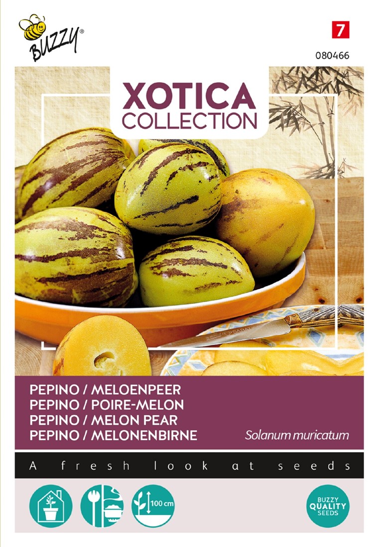 Pepino Meloenpeer - Xotica Collection Les graines de france