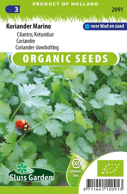 Koriander Marino - Coriandrum sativum EKO Les graines de france