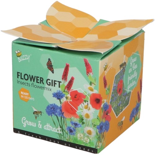 Buzzy Flower Gift (48x) Insecten Bloemen mix (Display 48x) Les graines ...