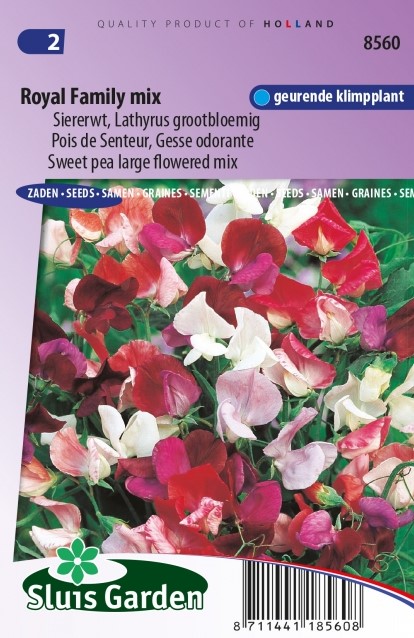 Siererwt Royal Family Mix Lathyrus Odoratus Les graines de france