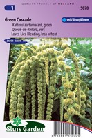 Acheter Queue de Renard Green Cascade (vert) - Amaranthus? Commander ...