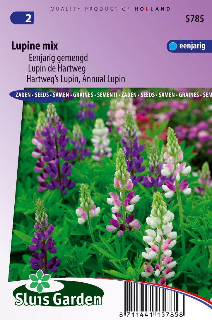 Lupine 1-jarig mix - Lupinus Les graines de france