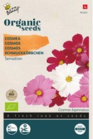 Bio Cosmos Sensation Mix Les graines de france