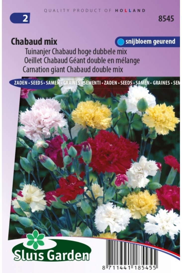 Anjer Chabaud Mix - Dianthus Chabaud Les graines de france