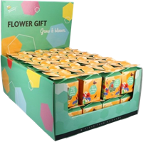 Buzzy Flower Gift (48x) Insecten Bloemen mix (Display 48x) Les graines ...