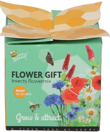 Buzzy Flower Gift (48x) Insecten Bloemen mix (Display 48x) Les graines ...