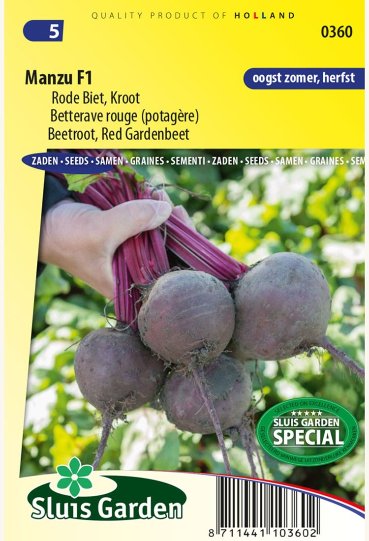 Rode Biet, Kroot Manzu F1 Les graines de france