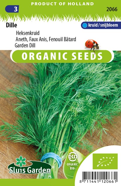 Dille Bouquet EKO Les graines de france