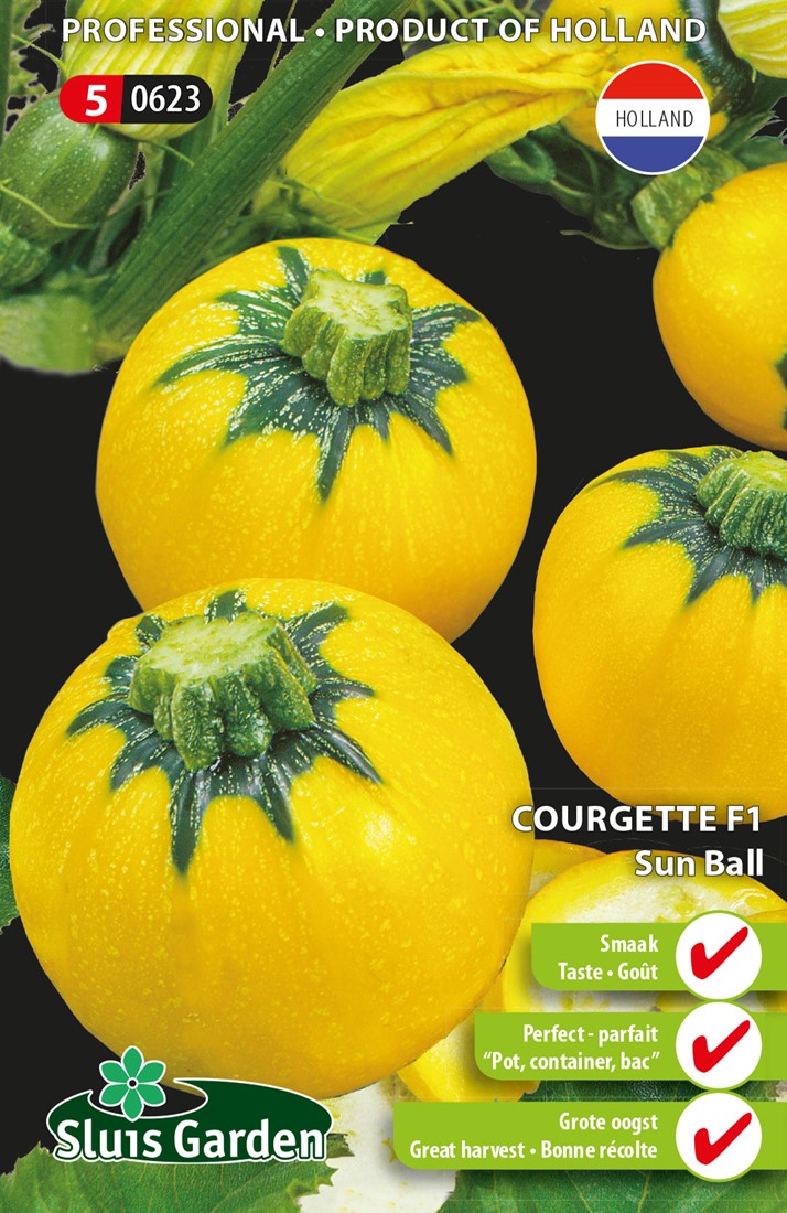 Courgette Sun Ball F1 - Cucurbita Les graines de france